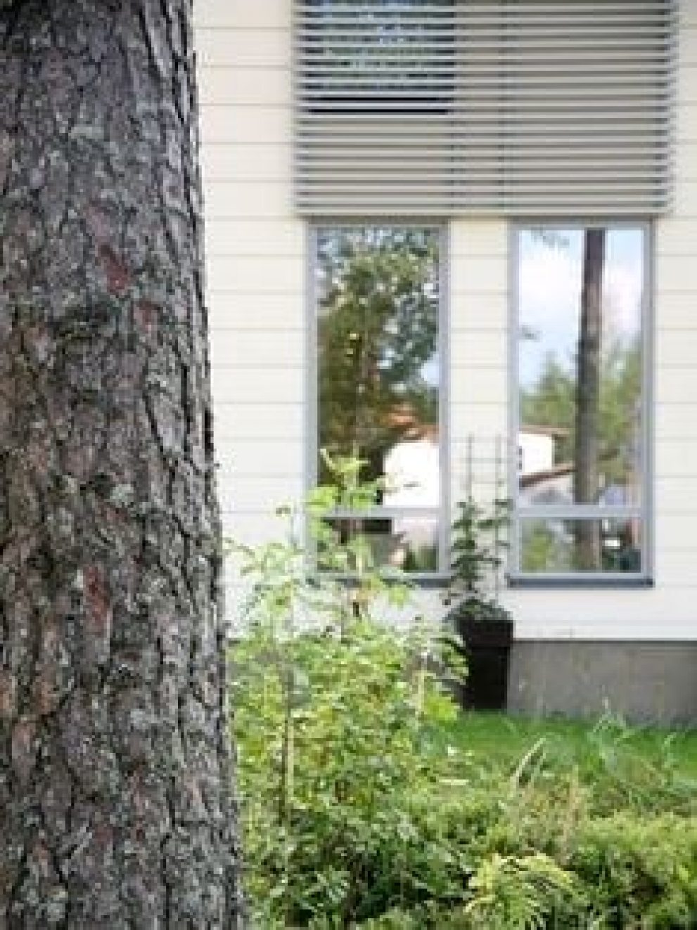 Honka Fusion - the next generation of log homes