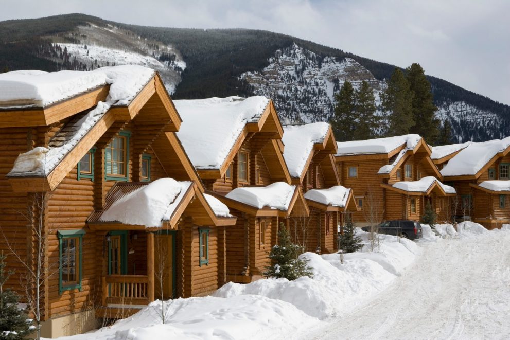 Log buildings for commercial and public use - Honka