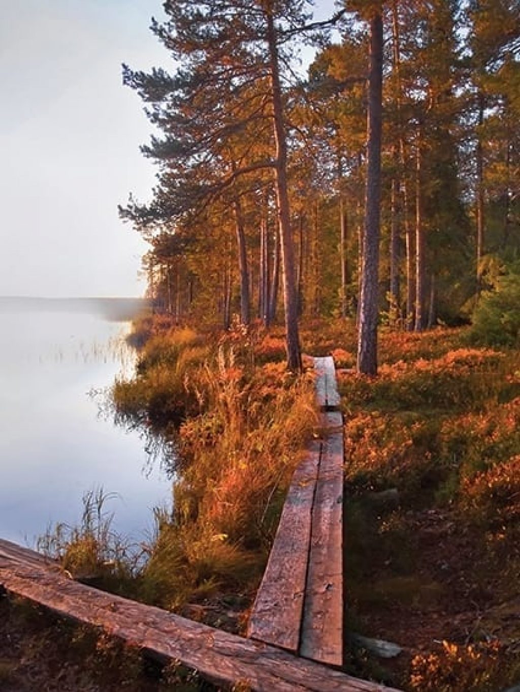 Nordic lifestyle - the ingredients of healthier and happier living - Honka