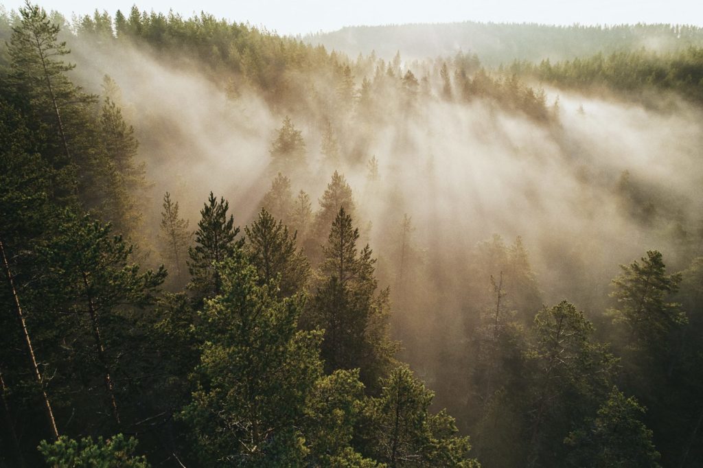 High-quality log houses and cabins inspired by Nordic nature - Honka