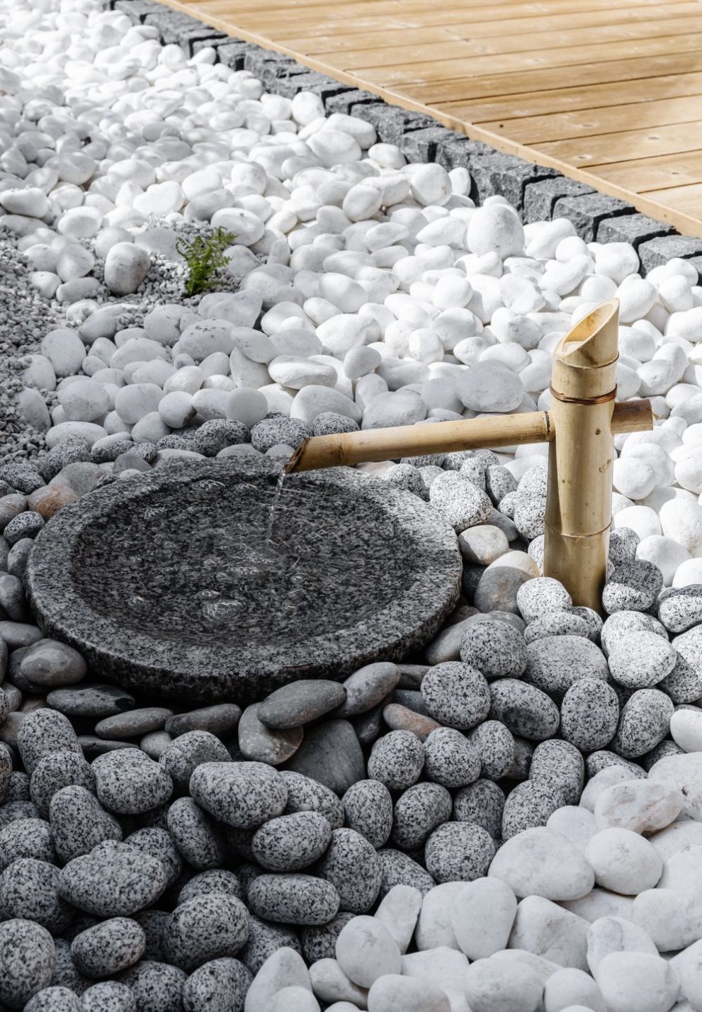 At home in nature’s embrace: the story behind Honka Haiku - Honka