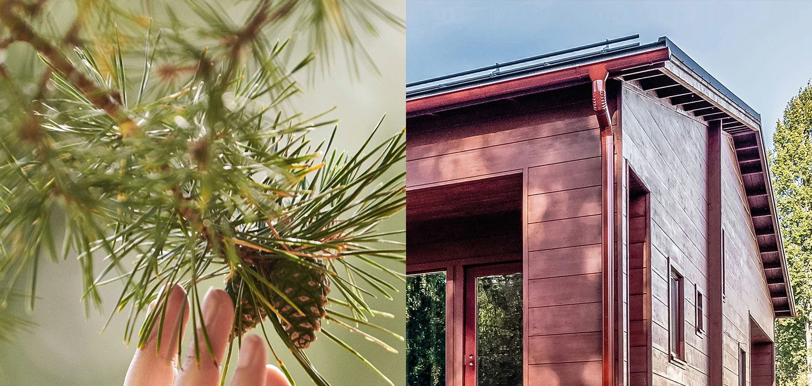 A ceremonial sauna experience and a characterful use of colour make ...